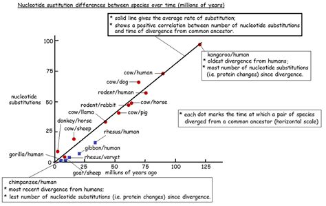 Topic 5 4 Cladistics Amazing World Of Science With Mr Green