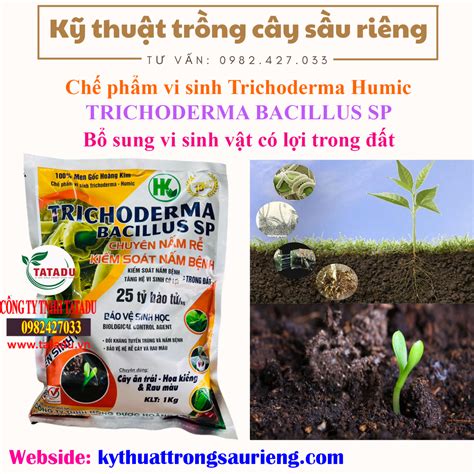 Trichoderma Bacillus Sp KiỂm SoÁt NẤm BỆnh Trong ĐẤt