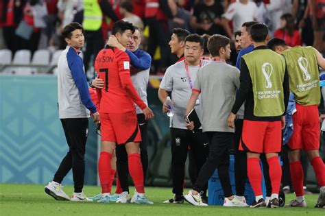 [월드컵] 히딩크의 박지성 아드보가트의 이호처럼…벤투도 태극전사 데려갈까 파이낸셜뉴스