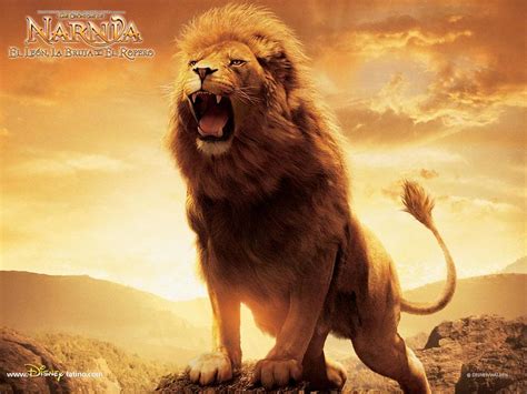 Aslan Lion 2 The Chronicles Of Narnia Wallpaper Cinderellafrost Flickr
