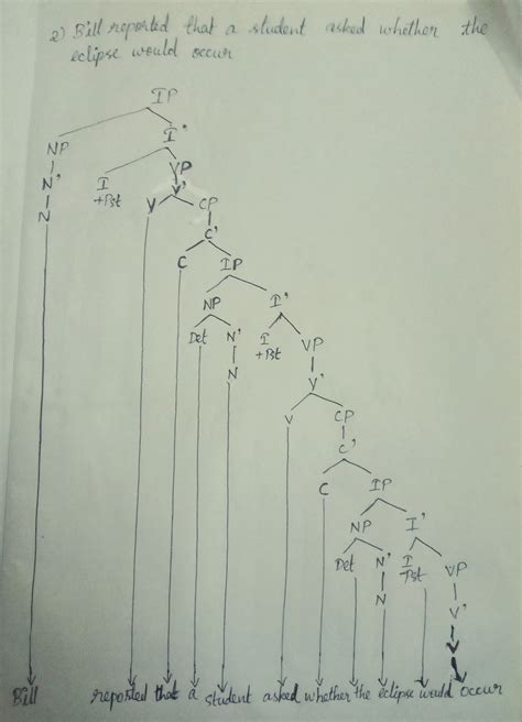 Solved Draw The Tree Structures For The Sentences With Complement Clauses Course Hero