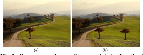 figure 1 from tampering detection and localization on copy move images