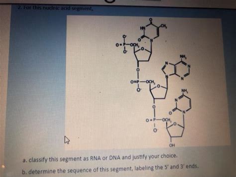 Solved 2 For This Nucleic Acid Segment Och Opoch