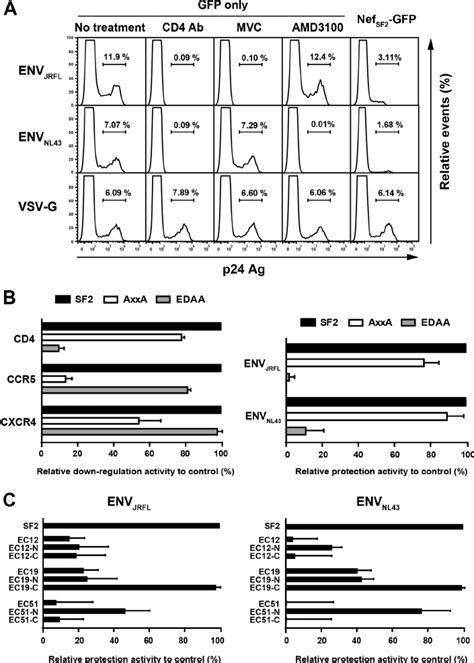 Protection From Hiv 1 Superinfection A Representative Flow Cytometry