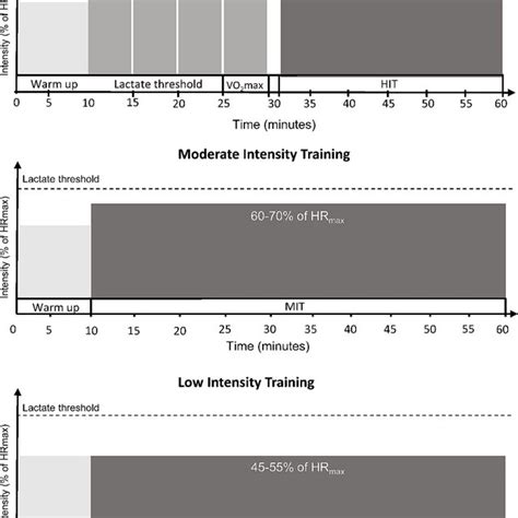 Exercise Training Protocol The Figure Illustrates The Exercise