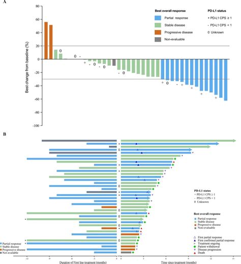 Efficacy And Safety Of Camrelizumab Plus Apatinib In Patients With
