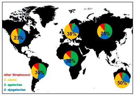 Strep Throat Map