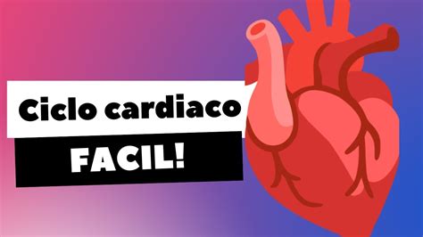 Ciclo Cardiaco Explicación Facil Fisiologia Youtube