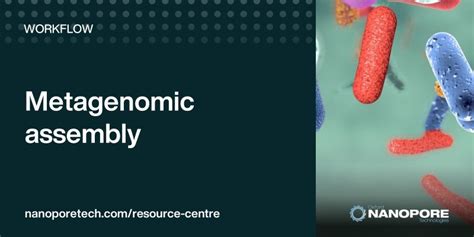 Workflow Metagenomic Assembly Oxford Nanopore Technologies