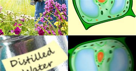 Mrw Someone Exposes Me To A Hypotonic Solution Album On Imgur