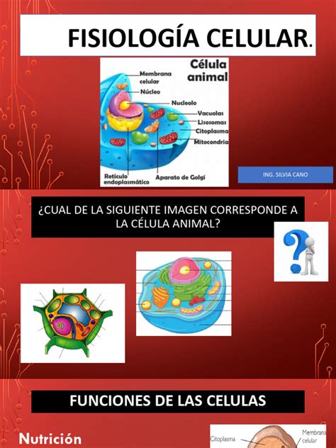 Fisiología Celular Pdf Biología Celular Membrana Celular