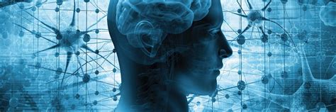 Institute For Collaborative Biotechnologies Icb Uc Santa Barbara Institute For