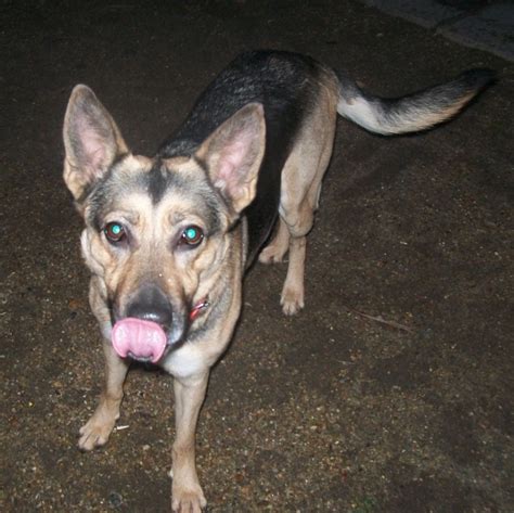 Dolly 26 Servimg Com Free Image Hosting Service Dolly 26 Servimg Com Free Image Hosting Service