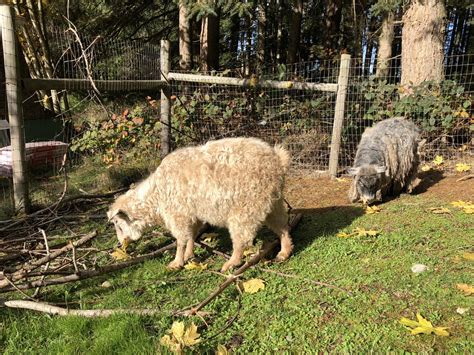 Amanda Ann Larson Added A New Photo Amanda Ann Larson