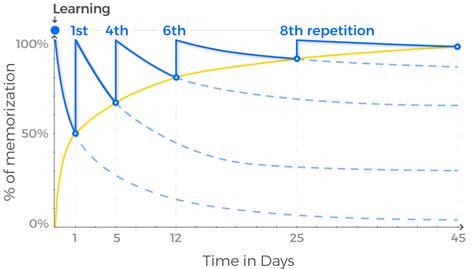 Spaced Repetition System Srs And The Forgetting Curve In Language