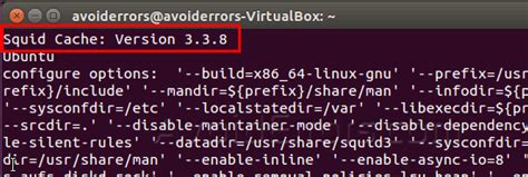 How To Install Squid Proxy On Ubuntu On Ubuntu AvoidErrors