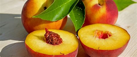 What Is Truncate Used For