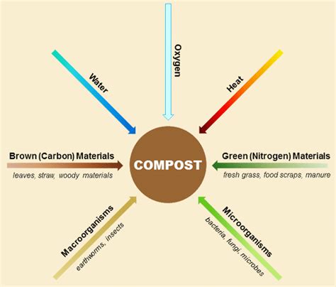 Home Composting Whatcom County Washington State University
