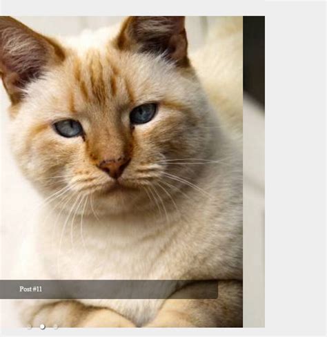 hide not active items · issue 45 · leandrowd react responsive carousel · github