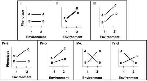 Combination Of Reaction Norms Illustrating The Potential Responses Of