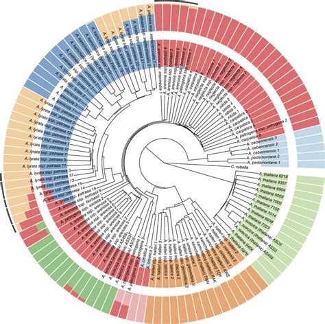 Clustering Of Sequenced Individuals On The Basis Of Polymorphism Data Download Scientific