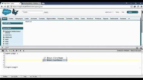 Displaying Field Values With Visualforce Youtube