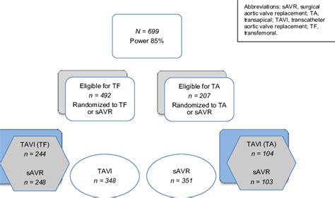 Randomization Scheme For Cohort A Download Scientific Diagram