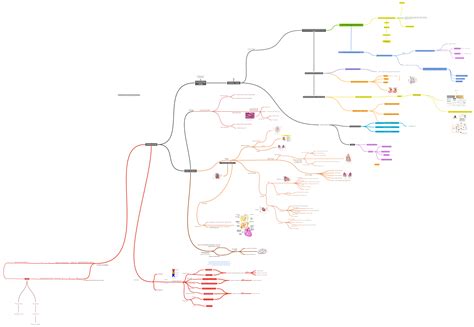 Cardiovascular Concept Map All Sections Cardiovascular Septation Of…