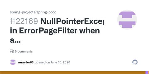 Nullpointerexception In Errorpagefilter When A Missingservletrequestparameterexception Is Thrown