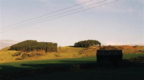 Arts Review If You Find Errors In Schema