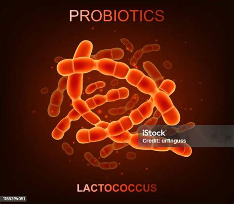 프로바이오틱 박테리아 좋은 미생물 개념은 검은 배경에 격리 벡터 사실적인 유균 Mrsa에 대한 스톡 벡터 아트 및 기타 이미지 Mrsa 건강관리와 의술 건강한 생활