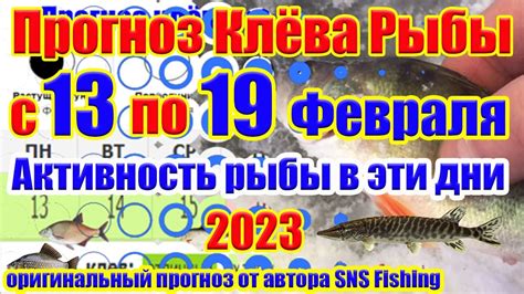 Прогноз клева рыбы на Эту неделю с 13 по 19 Февраля Календарь рыбака на Февраль Лунный прогноз
