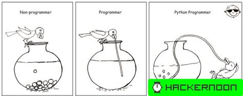 What Is Python Good For Why Beginner Should Learn Python Hackernoon