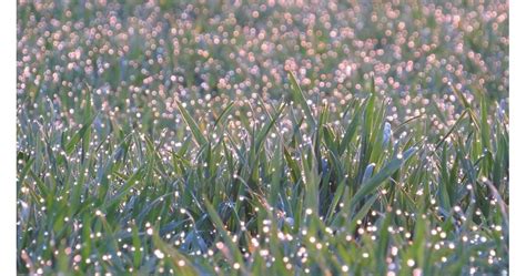 Спад в тежките престъпления при високо ниво на полени в околната среда
