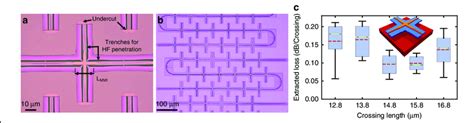 Optical Crossings A Microscope Image Of A Multimode Interference Download Scientific Diagram