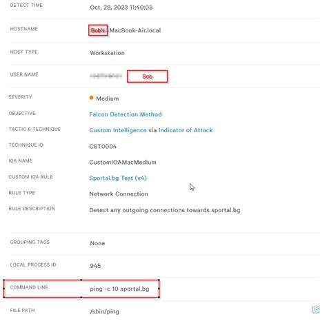 Navigating The Maze Of Security Alerts First Steps Into Effective Triage Secario Labs