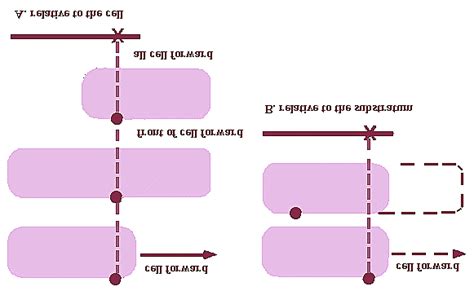 Types Of Retrograde Flow In Adherent Motile Eukaryotic Cells A