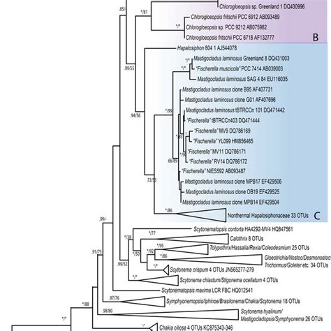 Bayesian Inference Analysis Using The 16s Rrna Gene With Closely