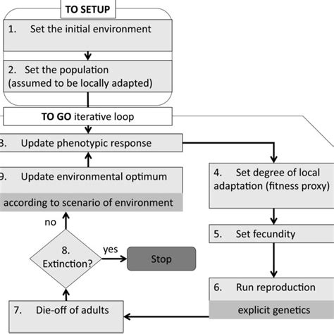 Forms Of Nonadaptive Random And Adaptive Linear Sinusoidal
