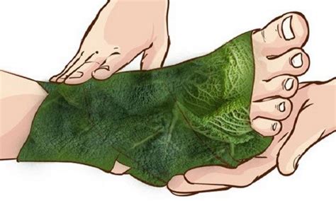 Cele Mai Bune 8 Remedii Pentru Tratarea Picioarelor Umflate Natura