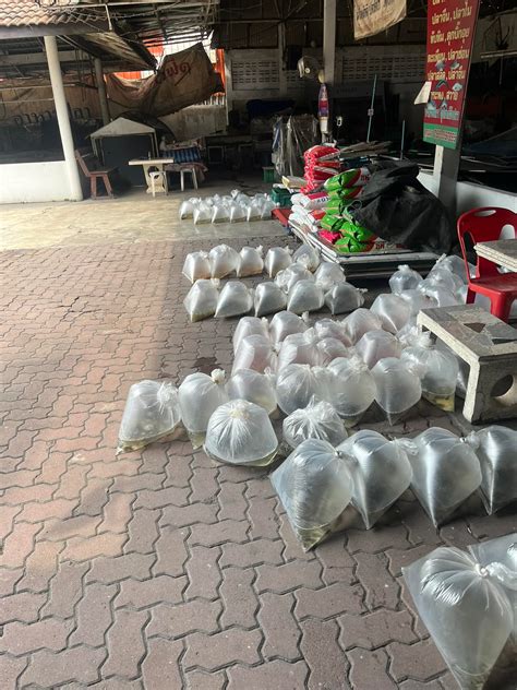 เอื้อสุขพันธุ์ปลา จำหน่ายพันธุ์ปลาน้ำจืดทุกชนิด และ อุปกรณ์การเกษตร