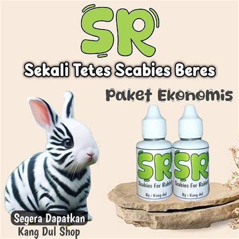 Sr Obat Scabies Kelinci Dan Kucing Solusi Ampuh Atasi Scabies Dengan