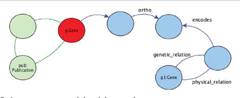 Figure 3 From Towards Fairer Biological Knowledge Networks Using A
