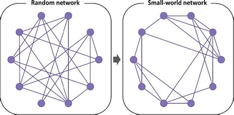 A Random Network And Its Rewired Small World Network With The Same Download Scientific Diagram