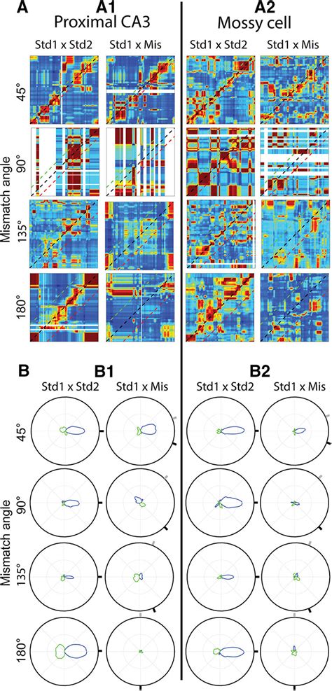 Responses Of Downsampled Pca3 And Mossy Cell Populations To Cue Download Scientific Diagram