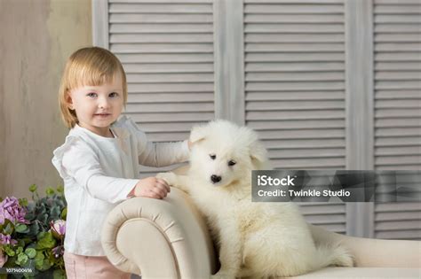 금발 아가씨의 허스키 강아지와 함께 재생 합니다 금발 머리 귀여운 드레스를 입고 로얄 복고풍 안락의 자 소파 소파에 앉아있는 동안 새 미 하얀 강아지와 함께 스튜디오