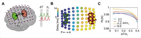 Figure 1 From Sequentially Activated Discrete Modules Appear As Traveling Waves In Neuronal