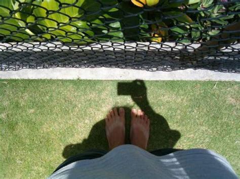 Where Have All The Shadows Gone Lahaina Noon In Honolulu 11 Pics