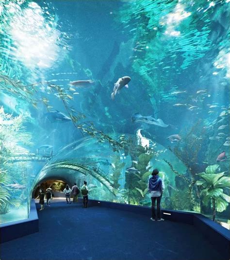 Budapest Rainforest Aquarium Aquarium Restaurant Setting Aquarium