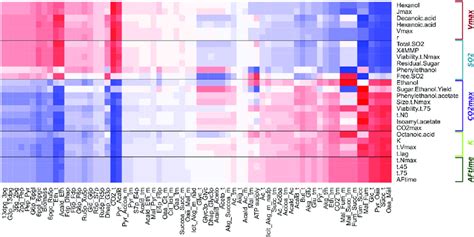 Regularized Canonical Correlation Analysis Of Metabolic Fluxes And Download Scientific Diagram